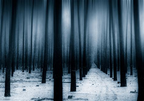 Dark Forest Woods Snow Winter Wallpaper Hd Nature K Wallpapers
