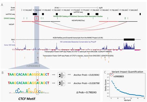 genes free full text insulock a weakly supervised learning approach for accurate insulator