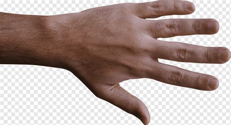 Png Pngwing