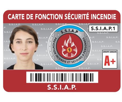 Arriba 71 Imagen Verification Carte Pro Cnaps Fr Thptnganamst Edu Vn