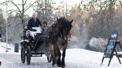 Kjøring med hest og vogn Aktiv I Oslo no