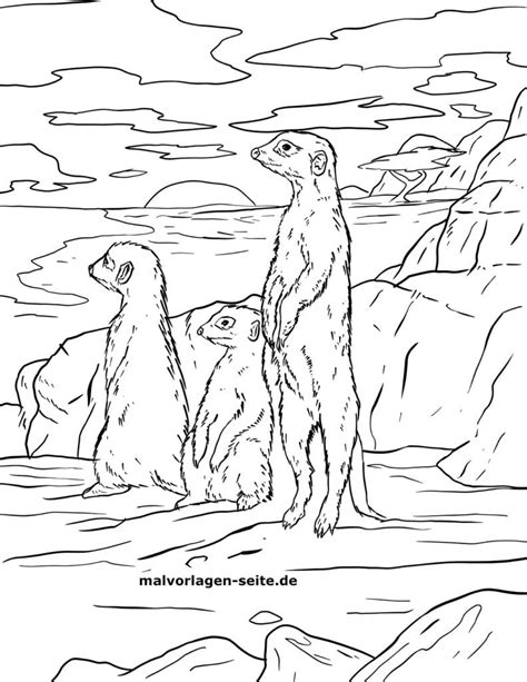 Malvorlage Erdm Nnchen Tiere Ausmalbild Kostenlos Herunterladen