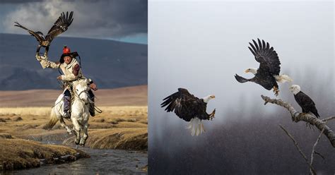 The Winners Of National Geographic S Pictures Of The Year Photo C