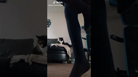 Tik tok etek altı frikik YouTube