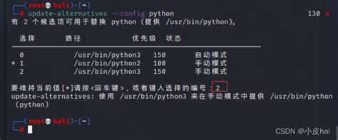 linux中同时安装多个python版本，进行版本切换 liux同时安装python3 8 5和python3 8 10指定版本运行 csdn博客