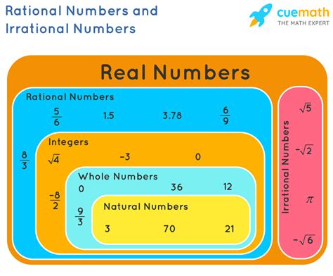 rational numbers definition examples what are rational numbers