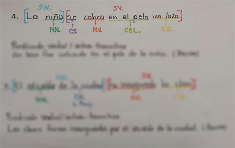 SOLUTION An Lisis Sint Ctico De Oraciones Simples Studypool