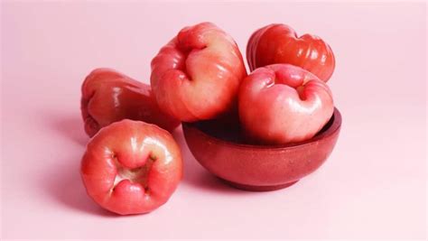 Water Apple Nutritional Profile Health Benefits HealthifyMe