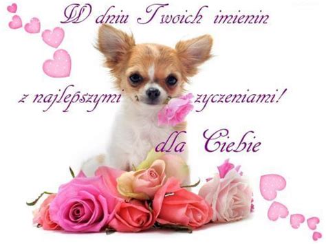 Kartka W Dniu Twoich Imienin E Kartki Net Pl
