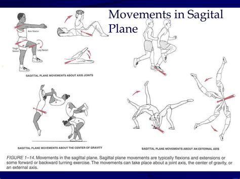 PPT Motion Description Concepts And Terminology Pp 28 40 PowerPoint