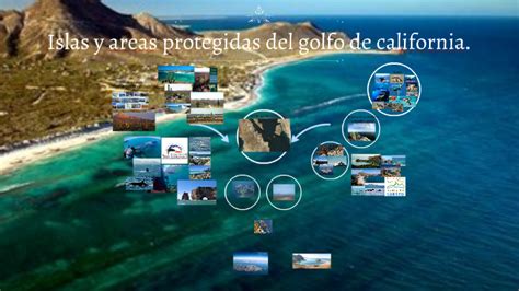 Islas Y Areas Protegidas Del Golfo De California By Mayra Navarro On Prezi