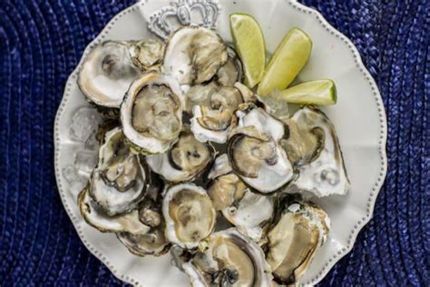 Festival de Verão do Pescado e Frutos do Mar Ceagesp ostras e mais