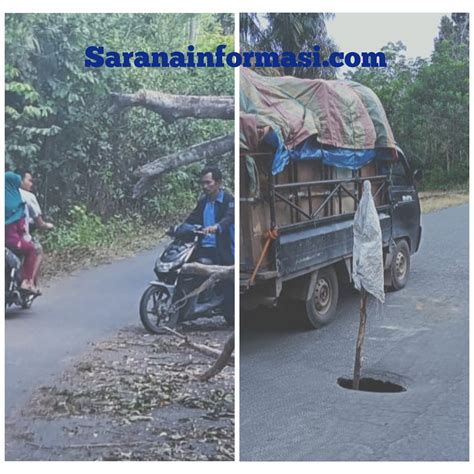 Pohon Tumbang Di Tengah Jalan Arus Lalu Lintas Jadi Terganggu