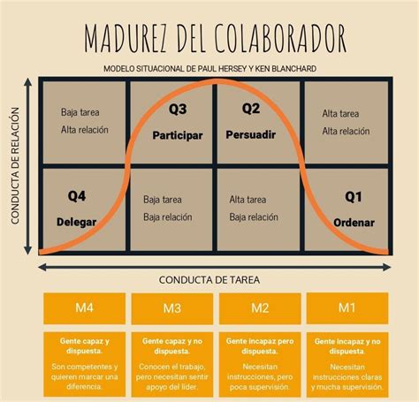Liderazgo Situacional Ajust Ndose A La Madurez Del Equipo