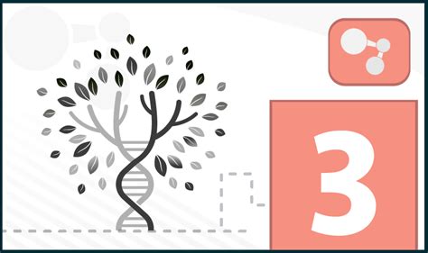 Las plantas terrestres acuáticas y epifitas EduLabPR
