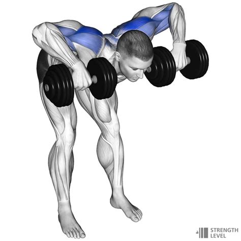 Facepulls mit Kurzhantel Standards für Männer und Frauen lb