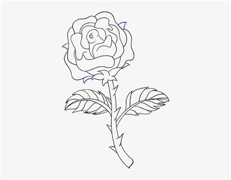 Imagenes De Rosas Para Dibujar A Lapiz Faciles Paso A Paso Dibujando A