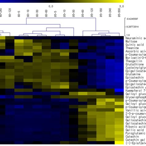 Hierarchical Clustering And Heat Map Of Differential Marker