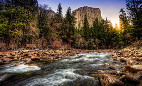 Fondos de Pantalla EE UU Bosques Ríos Piedras Fotografía De Paisaje