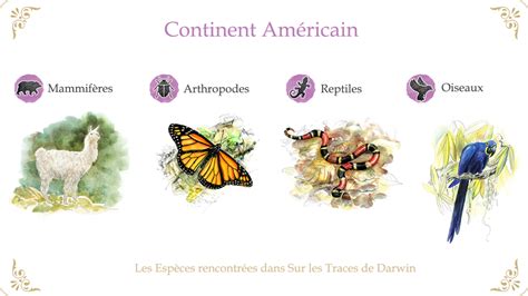 Sur les traces de Darwin ultime évolution du jeu passerelle
