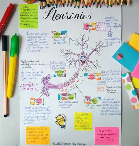 Neuronios Mapa Mental Mema