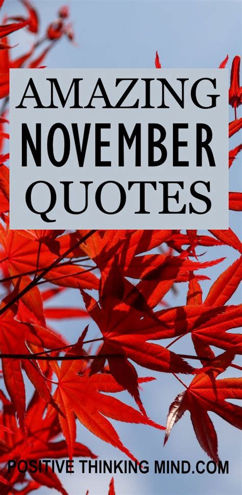 November Quotes And November Sayings Artofit