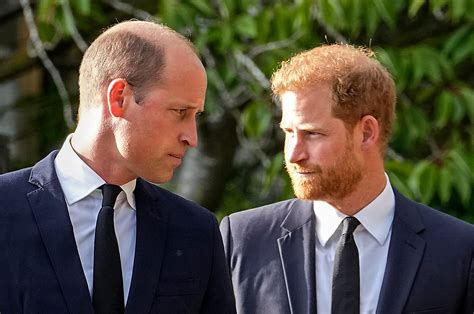 Prince Harry William Break Up At Diana Awards Afpkudos