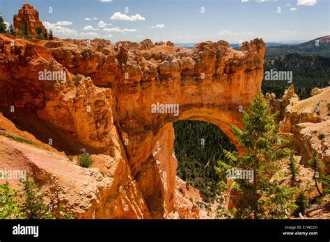 Natural Bridge A Natural Arches In Bryce Canyon National Park Utah
