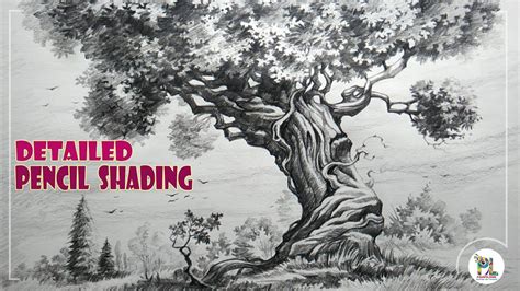Tree Pencil Shading A Step By Step Guide To Create Realistic Tree Effects
