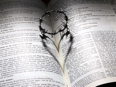 Chi ha scritto la Bibbia tutto ciò che devi sapere e altro ancora