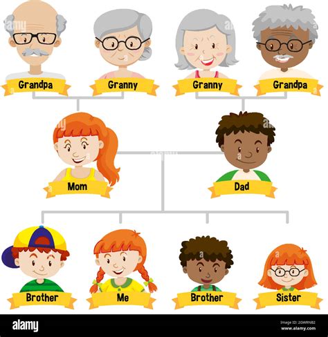 Diagrama Que Muestra El Rbol Geneal Gico De Tres Generaciones Imagen