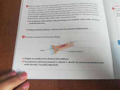 Plis Potrzebuje Na Jutro Brainly Pl