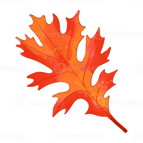Watercolor Autumn Leaves Hand Painted Decoration Clipart 8850248 PNG