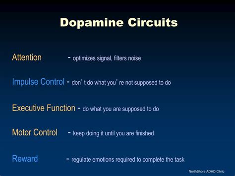 Dopamine Feedback Circuit Diagram
