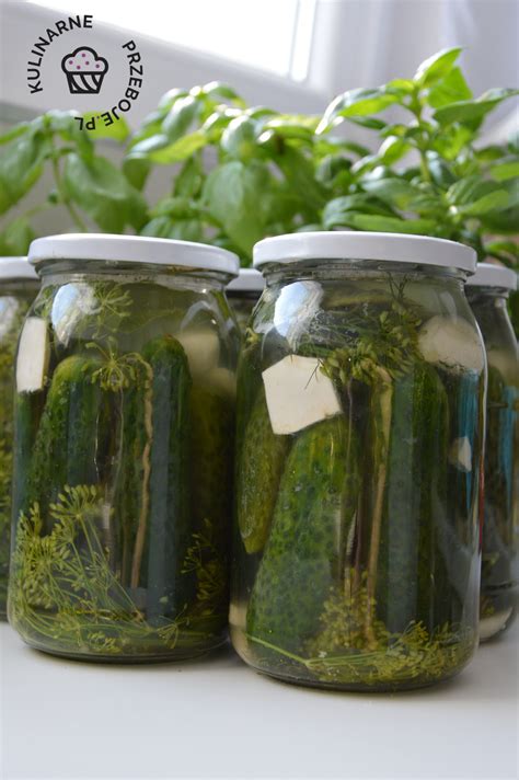 Przepis Na Ogórki Kiszone 1 Kg