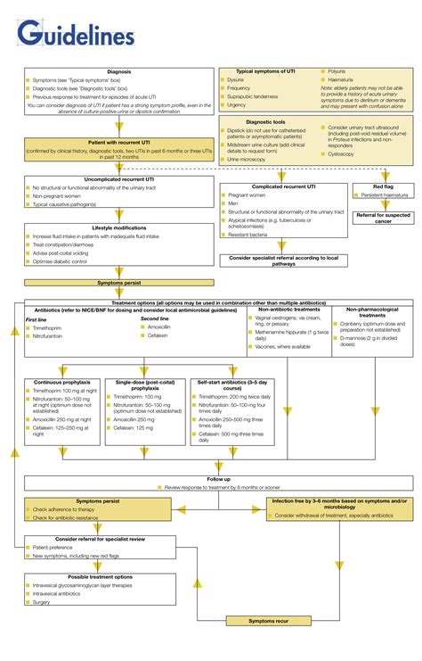Guideline Of Guidelines Management Of Recurrent Urinary 58 OFF