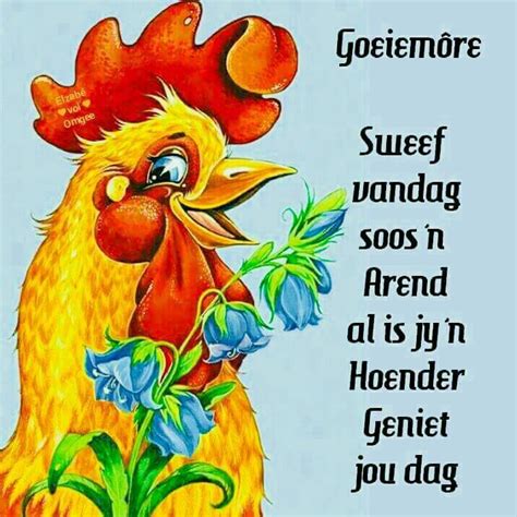 Sheep Cartoon Words To Live By Quotes Afternoon Quotes Afrikaanse