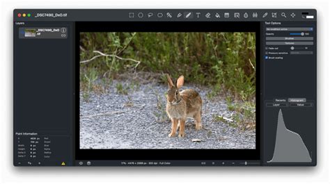 6 Best Free Photoshop Alternatives For Mac In 2024