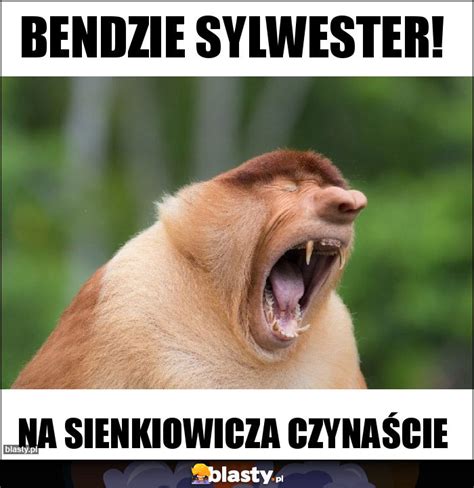 Bendzie sylwester memy gify i śmieszne obrazki facebook tapety