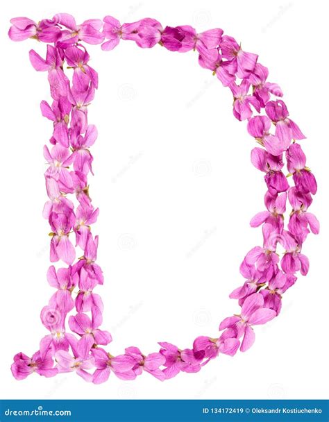 Letra D Del Alfabeto De Las Flores De La Violeta Aisladas En El Fondo