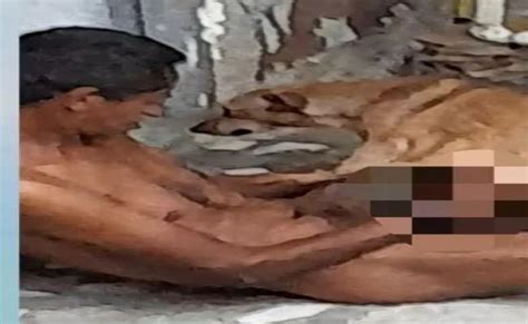 Homem é preso após ser flagrado abusando sexualmente de uma cadela em