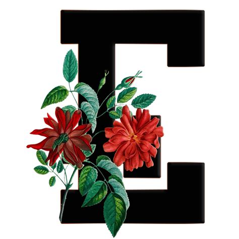 Blindada Por Deus Alfabeto Decorativo Png Ramalhete De Rosas