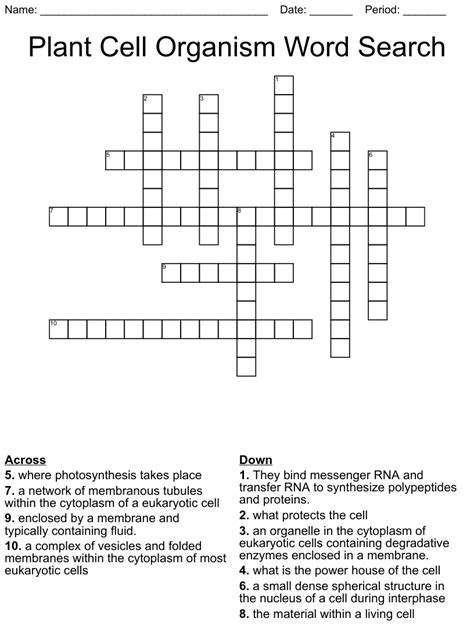 Plant Cell Organism Word Search Crossword WordMint