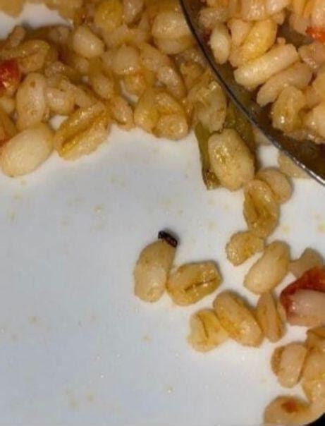 Nesibe Hatun Kyk K Z Renci Yurdu Zonguldak Yemekhanede Yemekler Ok