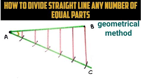 Dividing Into Equal Parts