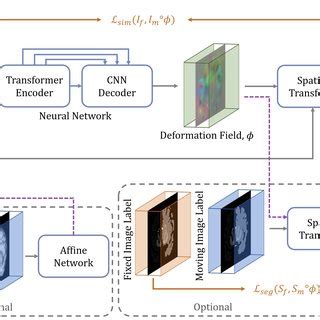 PDF TransMorph Transformer For Unsupervised Medical Image Registration