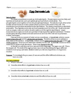 Egg Osmosis Lab Student Data Worksheet Math Worksheets For Elementary