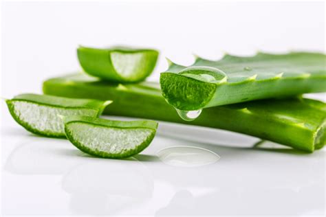 As Puede Extraer Y Conservar El Gel De Aloe Vera