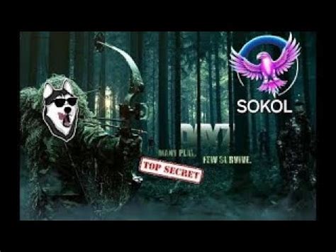 SOKOL Пятничная суета Розыгрыш Вертолета shorts dayz sokol husky