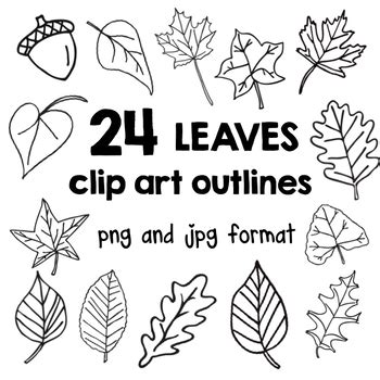 Maple Leaf Outline Png And Maple Leaf Outline Transparent Clipart